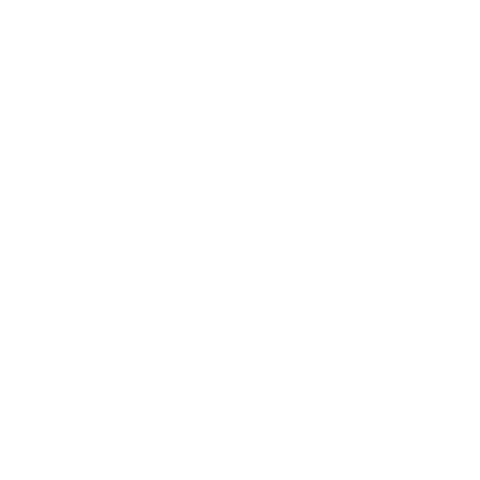 ABOUT US | chaoticlabz.com